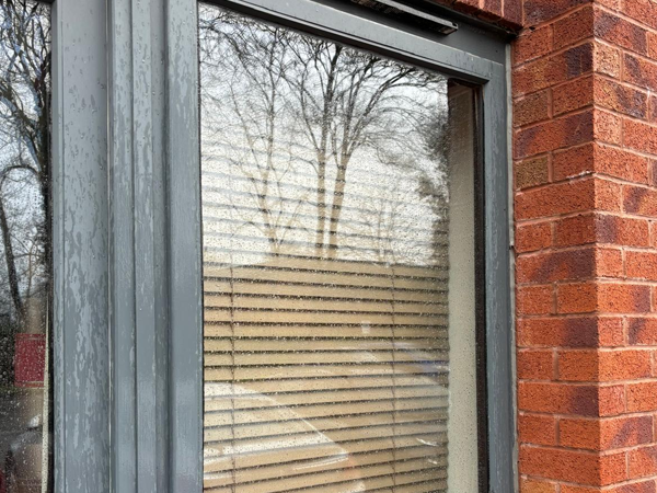 Our Services : Chester, Cheshire - Timber Care Repair Ltd